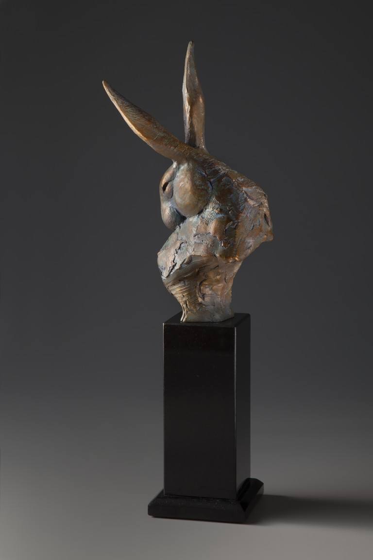 Rabbit Radar - Tim Cherry