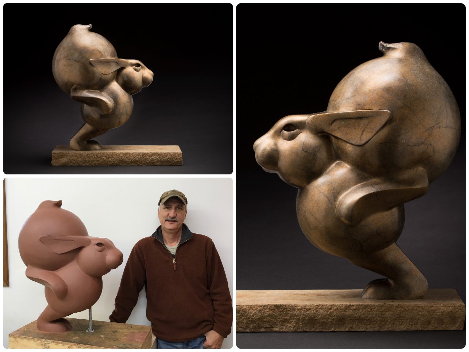 Rapid Rabbit - Tim Cherry