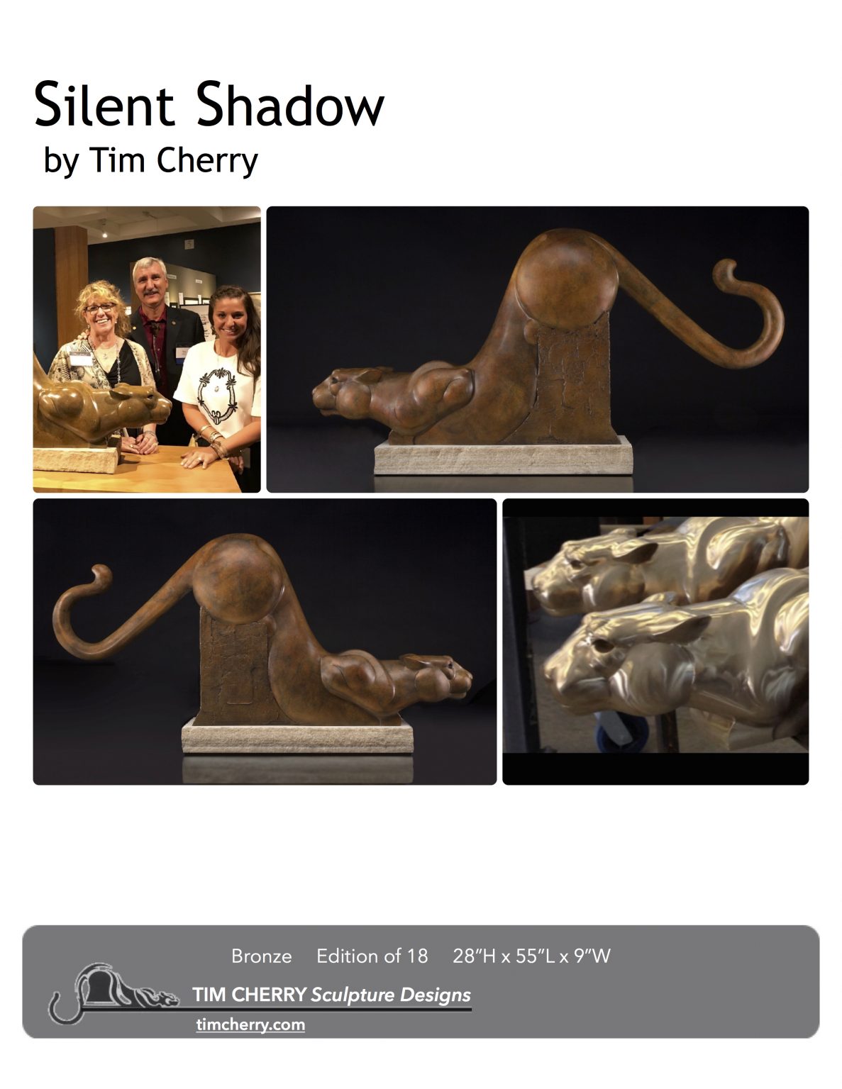 Silent Shadow - Tim Cherry